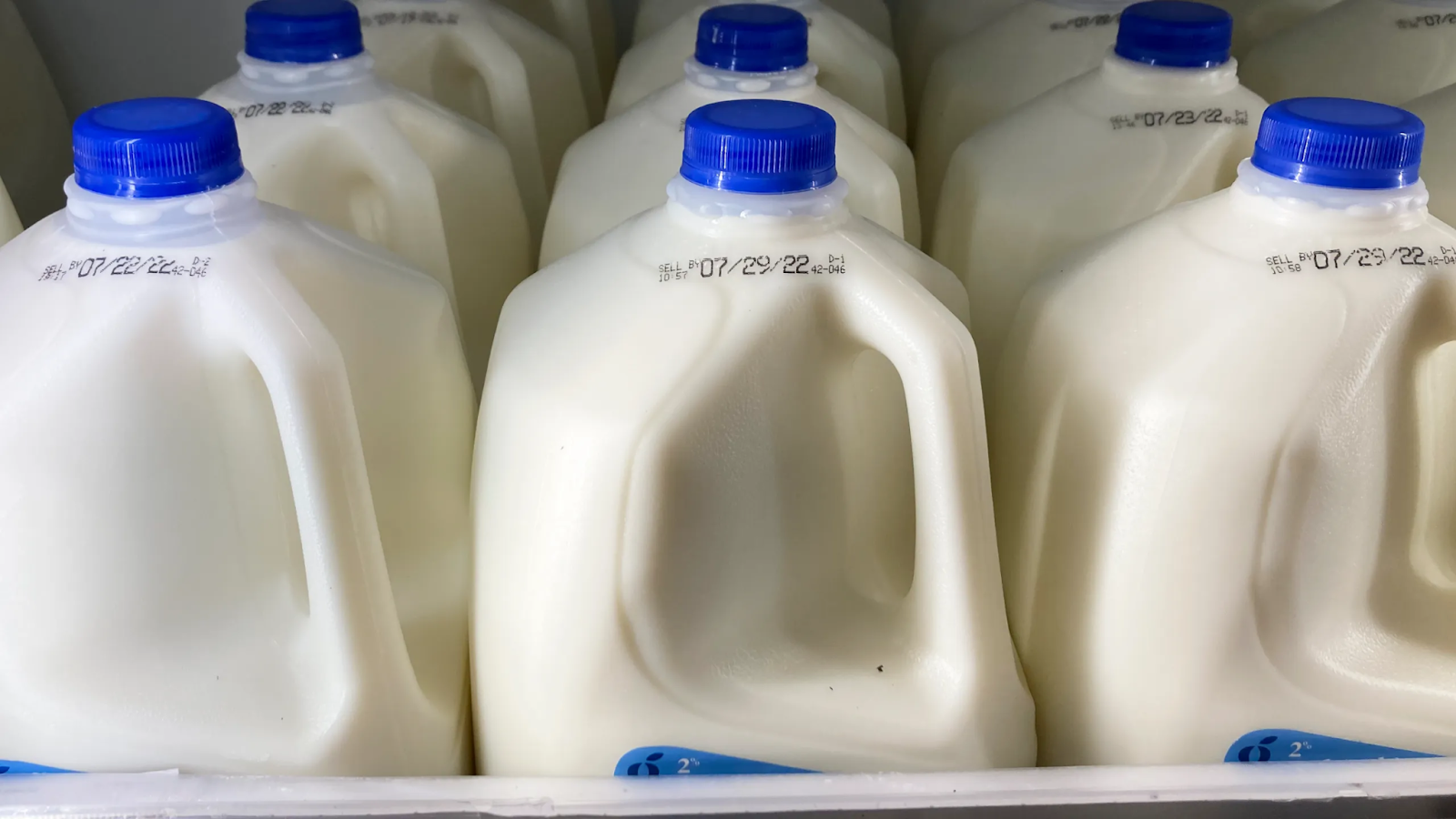 The GOMAD Diet: Drinking a Gallon of Milk a Day, and Why You Probably ...